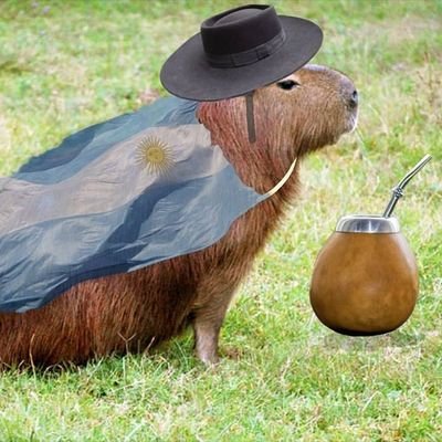 Furor: las memes de carpinchos inundan las redes